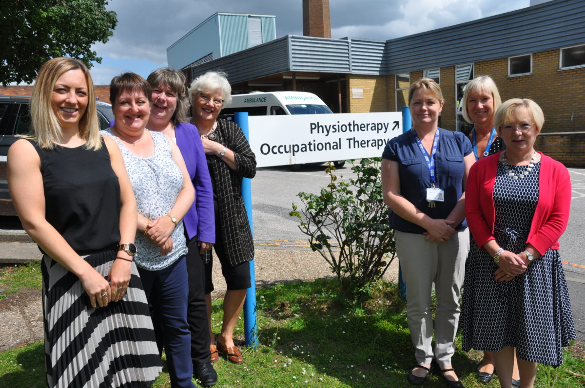 Physiotherapist and Occupational Therapist Apprenticeship Development ...